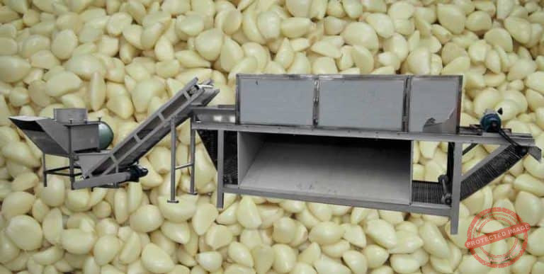 Automatic Garlic Separating and Peeling Machine | Garlic Peeling ...